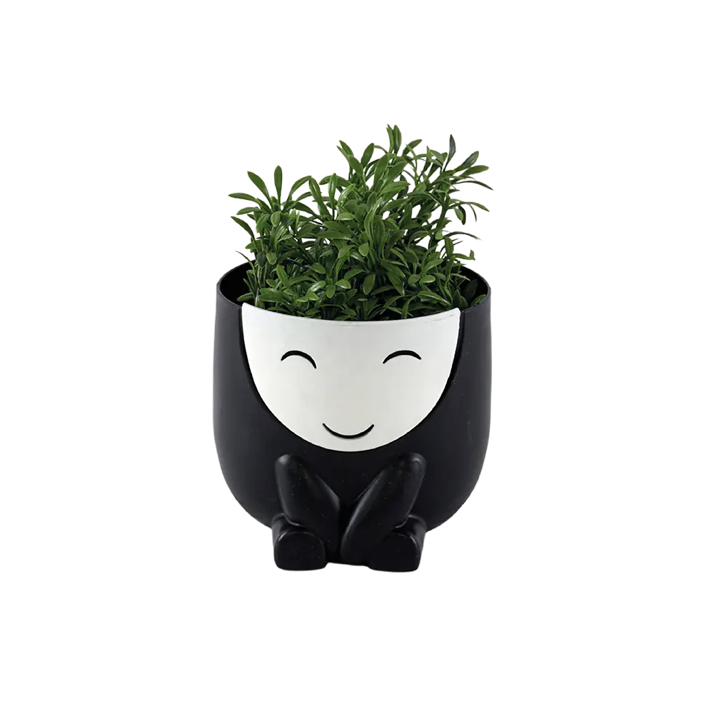 Eva Green Plant with Smiley Face Black Vase – Freeshop