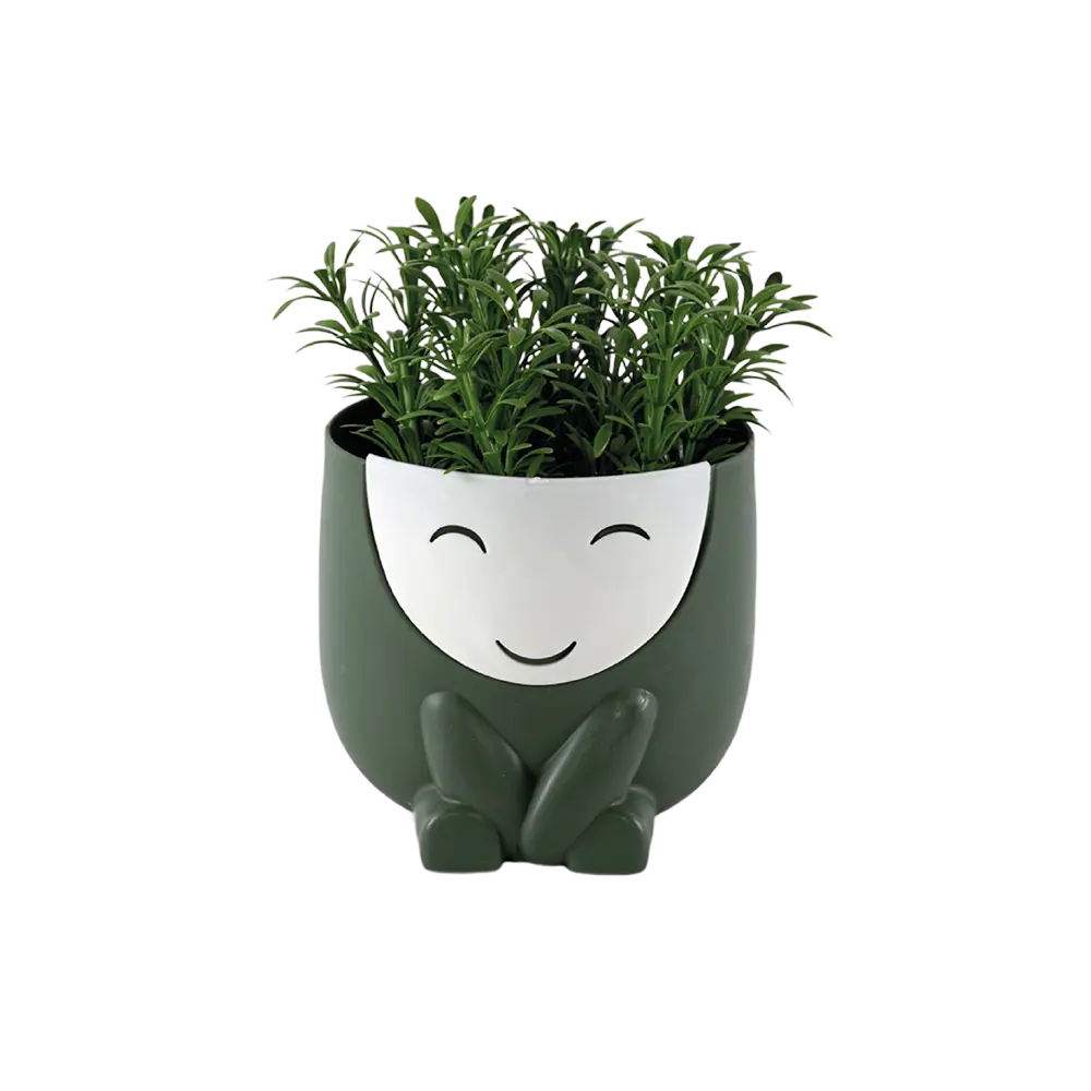 Eva Green Plant with Smiley Face Green Vase – Freeshop