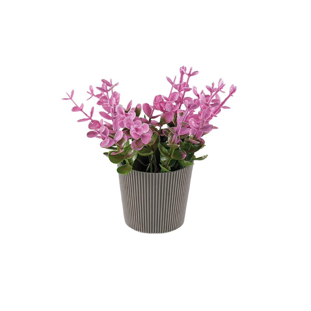 Eva Pink Plant with Ribbed Design Beige Vase – Freeshop